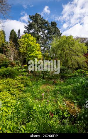 The rock garden in Fletcher Moss Botanical Garden, located in the ...