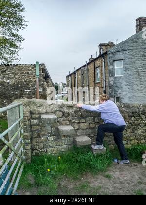 Example of a reasonably good old stepped wall stile complete with its ...