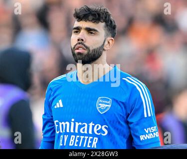 David Raya of Arsenal ahead of the Premier League match Fulham vs ...