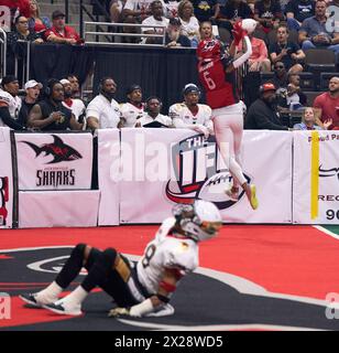 Jacksonville, Florida, USA. 20th Apr, 2024. Sharks WR Marquis McClain ...