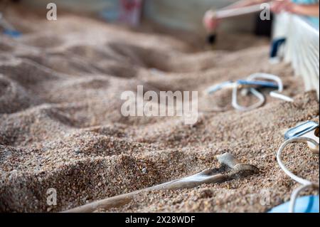 Child brushing away sand at a dinosaur fossil dig exhibit Stock Photo ...