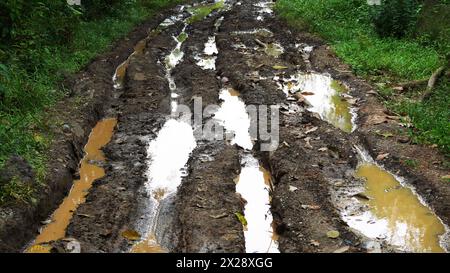 Road in forestry with muddy ruts with water and puddles in rural area ...