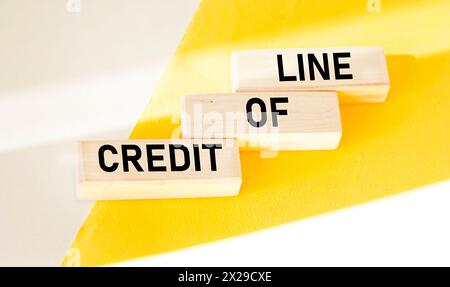 Wooden blocks with the inscription LINE OF CREDIT on a white background ...