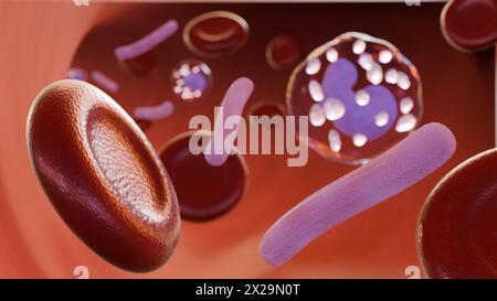 3d rendering of Septicemia, or sepsis, is the clinical name for blood ...