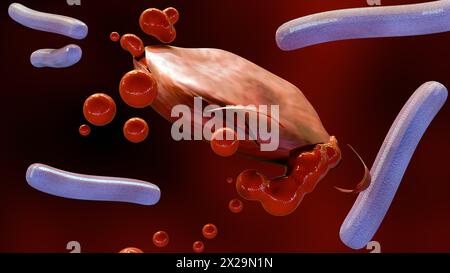 3d rendering of Septicemia, or sepsis, is the clinical name for blood ...
