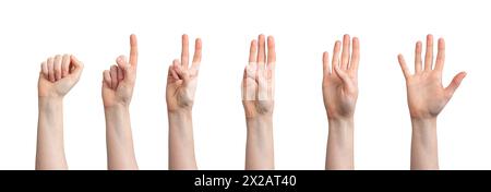 Hand counting fingers. zero, one, two, three, four, five, numbers ...