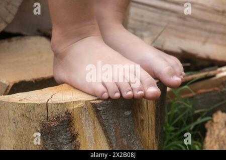 Child feet on wood log, barefoot little girl on tree trunk, countryside ...