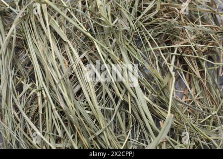 Pile of dried hay as background, top view Stock Photo - Alamy