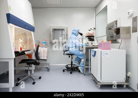 Clean room, culture observation through the microscope ...