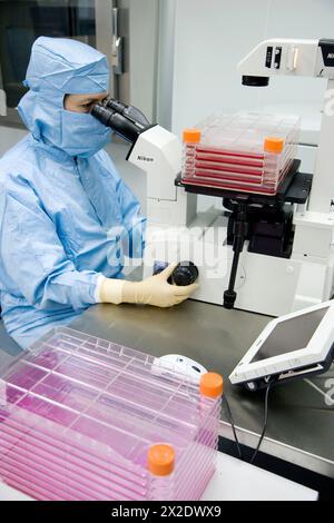 Cell Culture Room, Observation of cell cultures in the inverted ...