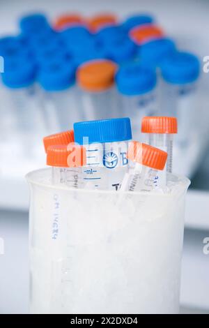 Dry ice frozen samples, culture room, biopharmaceutical lab ...