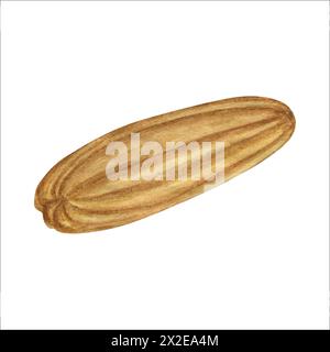 Realistic eclair isolated on white background - Vector Stock Photo - Alamy