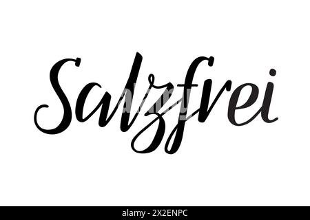 Word Salz, which means Salt in German, modern brush ink calligraphy ...