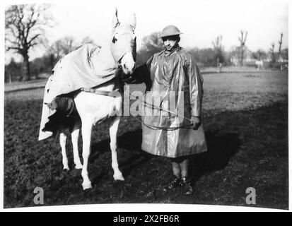 HOUSEHOLD CAVALRY - Recruits training at Windsor , British Army Stock ...