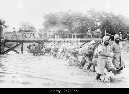 An Indian army mule train in Kashmir, carrying supplies to troops ...