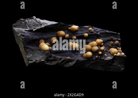 Aragonite mineral specimen with exquisite crystals Stock Photo - Alamy