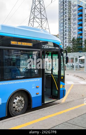 Viva Bus, York Region Transit, Ontario, Canada Stock Photo - Alamy