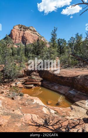 Pooling water along a hiking trail in Sedona, Arizona Stock Photo - Alamy