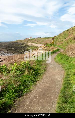 The Fife Coastal Path between St Monans and Pittenweem Stock Photo - Alamy