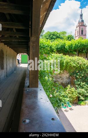 Flowers and trees outside an old stone building in dubrovnik croatia ...