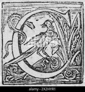 Initial or an initial T, decorative initial letter, woodcut, Mark ...