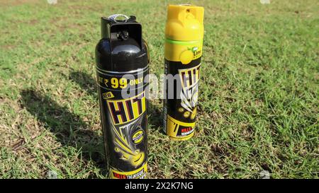 Hit brand, mosquito repellent and fly and mosquito killer New package ...