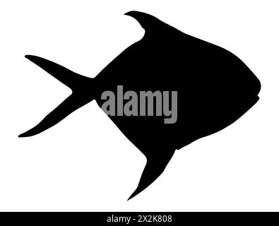 Pomfret fish silhouette vector art Stock Vector Image & Art - Alamy