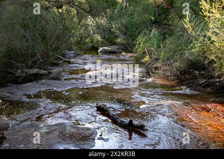 Waterfall flowing water beside the America Bay track trail walk in Ku ...