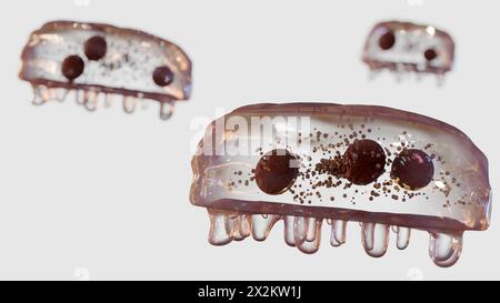 3d rendering of Osteoclasts, are the cells that degrade bone to ...