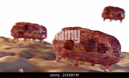 3d rendering of Osteoclasts, are the cells that degrade bone to ...