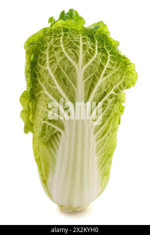 A Fresh Green Chinese Cabbage in the Field Stock Photo - Alamy