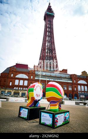 Elmer the patchwork elephants Big Blackpool Parade in aid of a local ...
