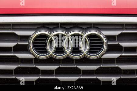 Logo, Emblem des deutschen Automobilhersteller AUDI an einem Audi ...