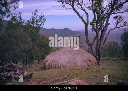 Ume Kbubu traditional house in Timor community Stock Photo - Alamy