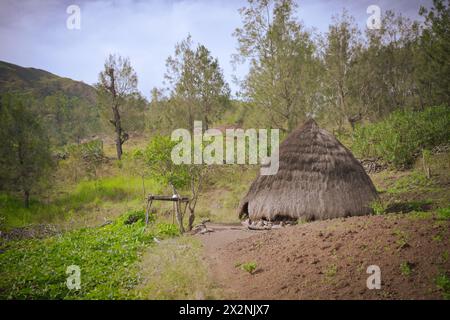 Ume Kbubu traditional house in Timor community Stock Photo - Alamy