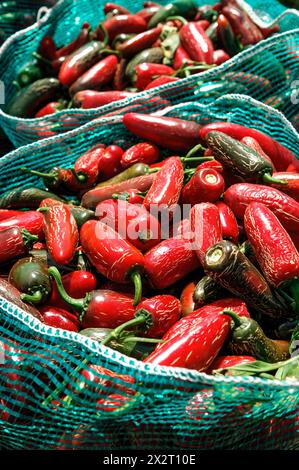 Mexico, Sinaloa, Red chili peppers roasting on open fire with wood and ...