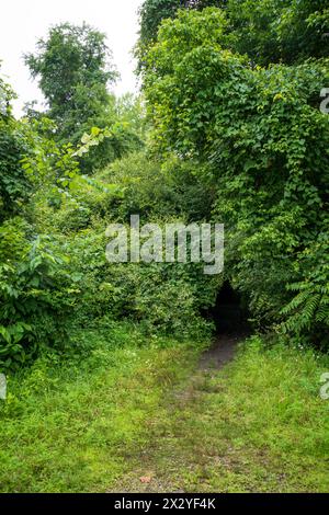 The TNT Area in Point Pleasant, West Virginia, USA Stock Photo - Alamy
