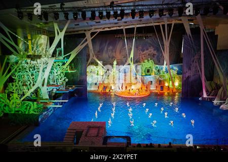 MOSCOW - JAN 8: Actors on stage and synchronized swimmers at Swimming ...