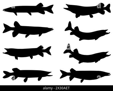 Muskellunge fish silhouette vector art Stock Vector Image & Art - Alamy