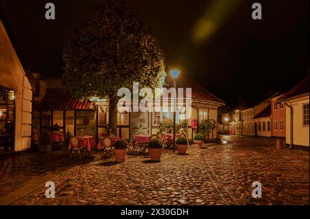 Night scene of the restaurant Under the Linden Tree at H C Andersen´s ...