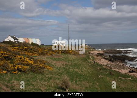 Fife Ness Lighthouse Fife Scotland April 2024 Stock Photo - Alamy