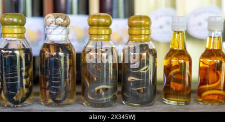 Choum, rice liquor, rice wine with pickled scorpions and snakes for ...
