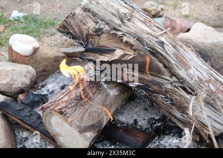 Small campfire flame with fire embers and coals with dark logs on black ...