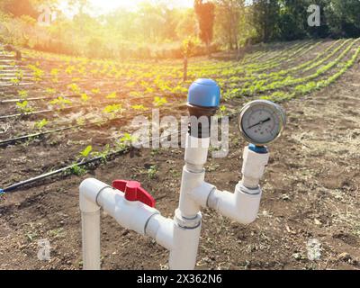 Water pipes irrigation on the field in agriculture Stock Photo - Alamy