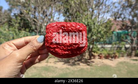 Wrinkled red capsicum vegetable on white background. Wrinkly shriveled ...