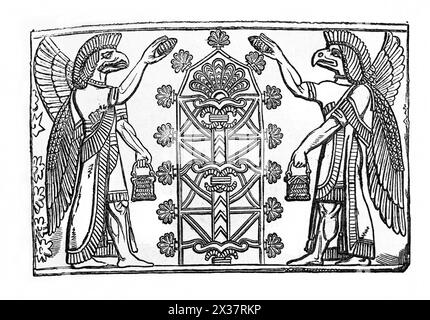 Nisroch Assyrian God Symbols Relief Panel Of Assyrian Eagle God