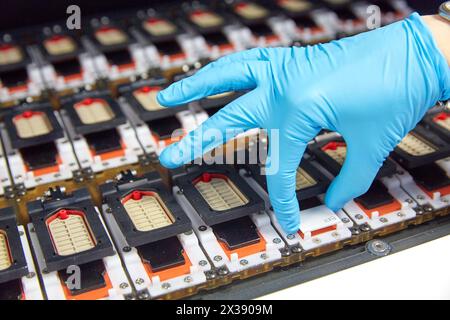 Immunocytochemistry, FISH / CISH test, long / short ...