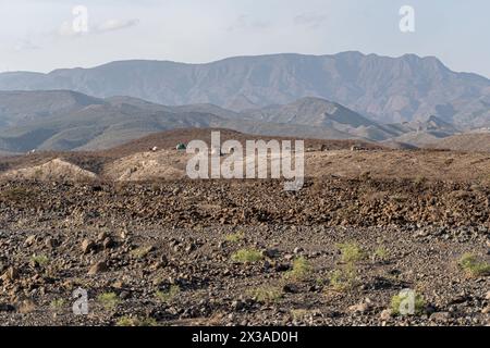 Desert camp of Afar nomads Djibouti, Africa Stock Photo - Alamy