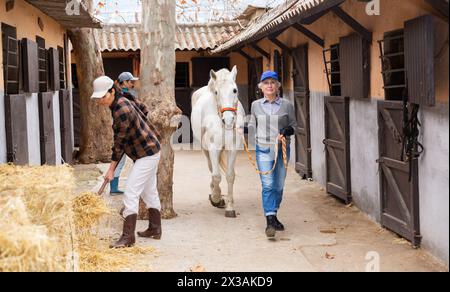 Backyard of the stables on typical autumn day - horse walking and ...