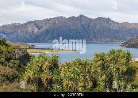 Lake Hawea with mountain backdrop Stock Photo - Alamy
